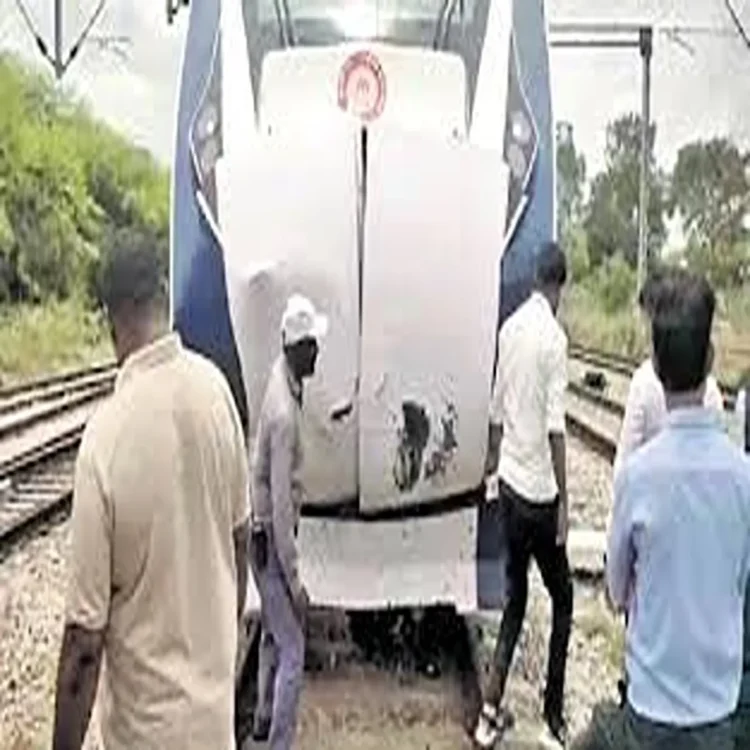 Vande Bharat - Buffalo Collision Causes Brief Halt Near Hindupur ...
